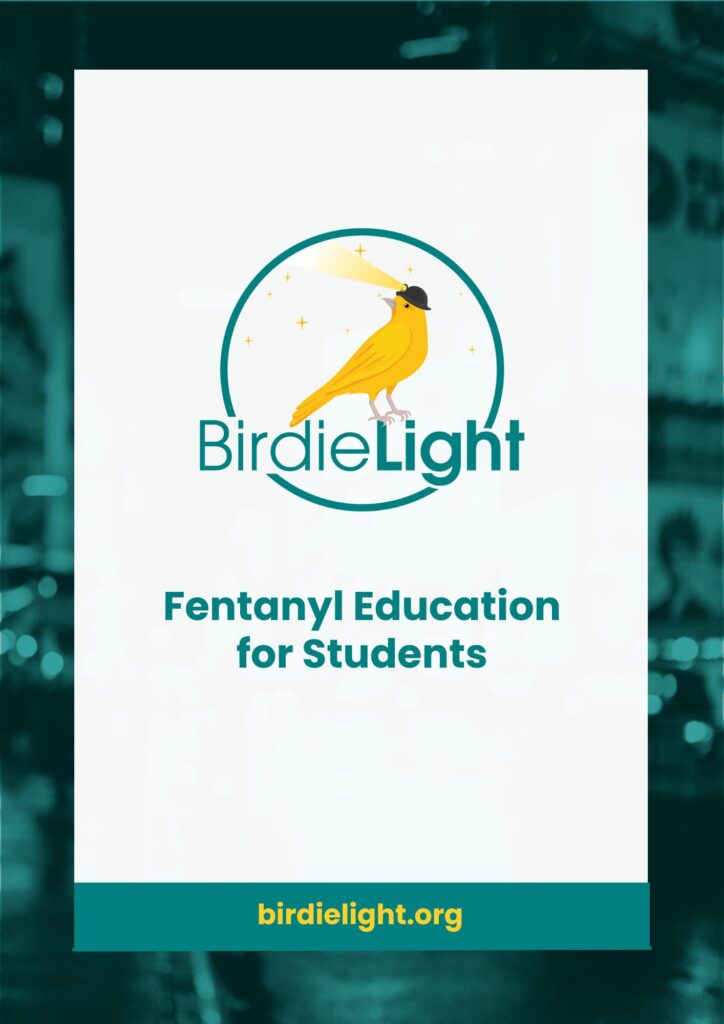 BirdieBox Curriculum | BirdieLight